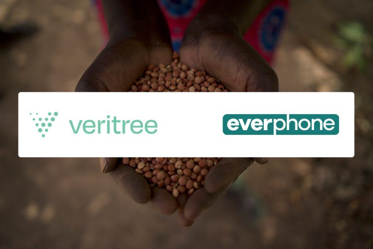 Sustainability: Veritree plants 30 trees for every 12-month rental ...